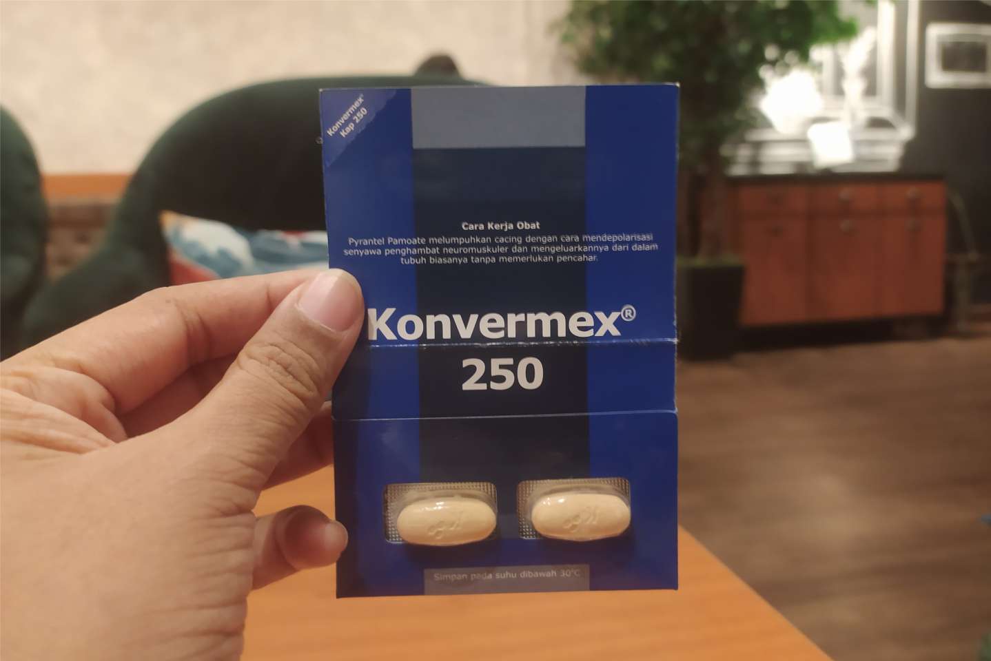 Konvermex Obat Cacing Yang Tepat untuk Dewasa dan Anak-anak